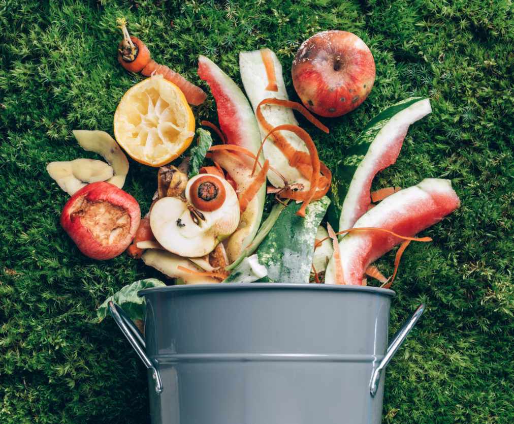 Business Organic Waste Separation | Importance & Tips