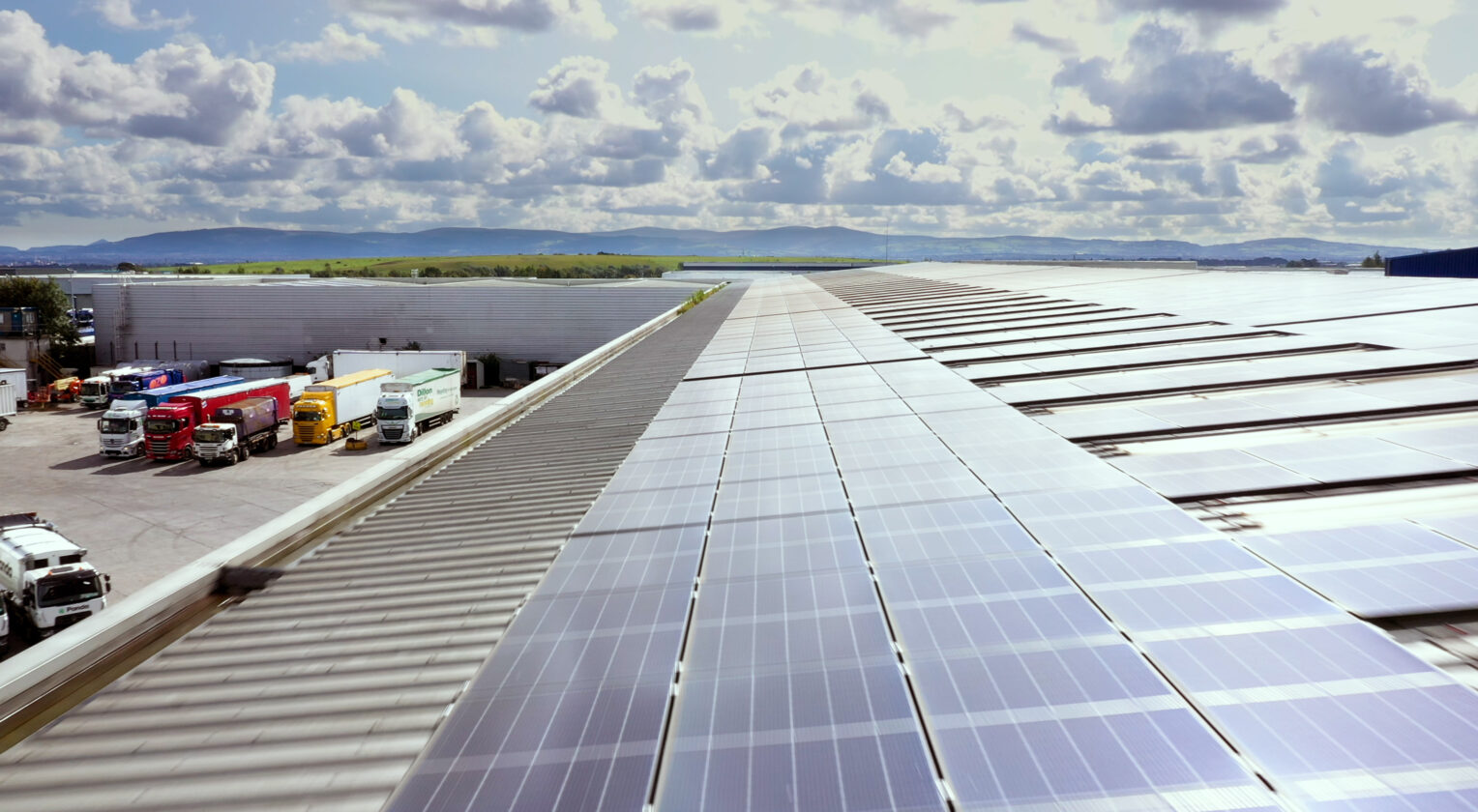 Panda's Solar Panel Installation | Pioneering Sustainable Energy