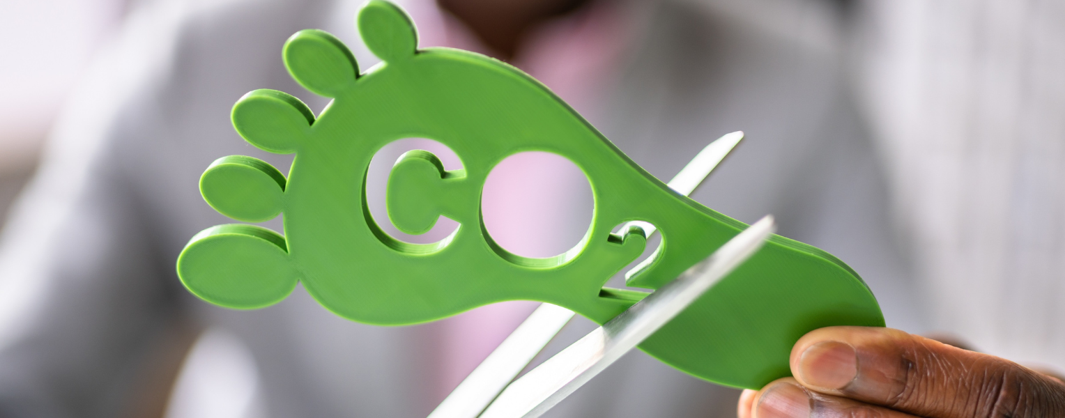 Small Changes, Big Impact: 16 Easy Steps To Cut Your Carbon Footprint