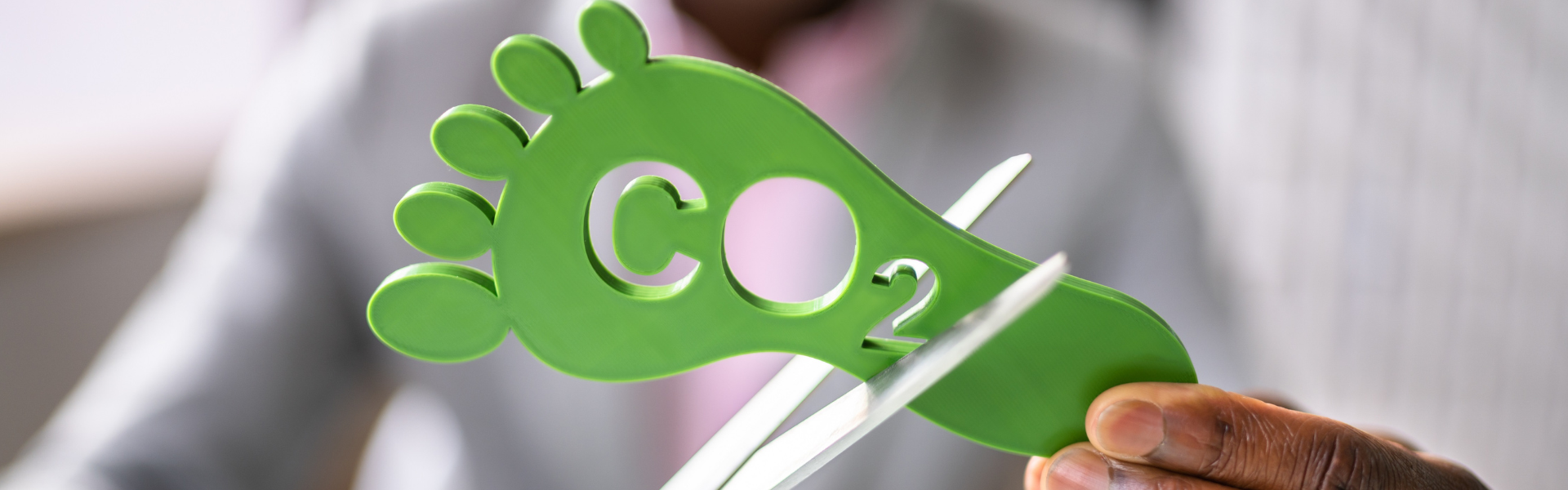 Small Changes, Big Impact: 16 Easy Steps To Cut Your Carbon Footprint