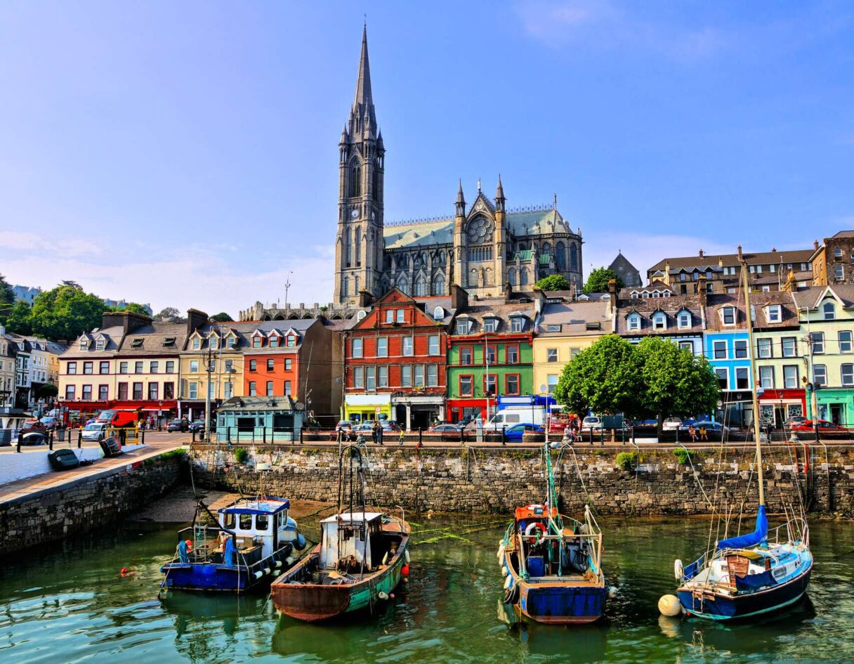 Waste Management Services Cork | Panda.ie