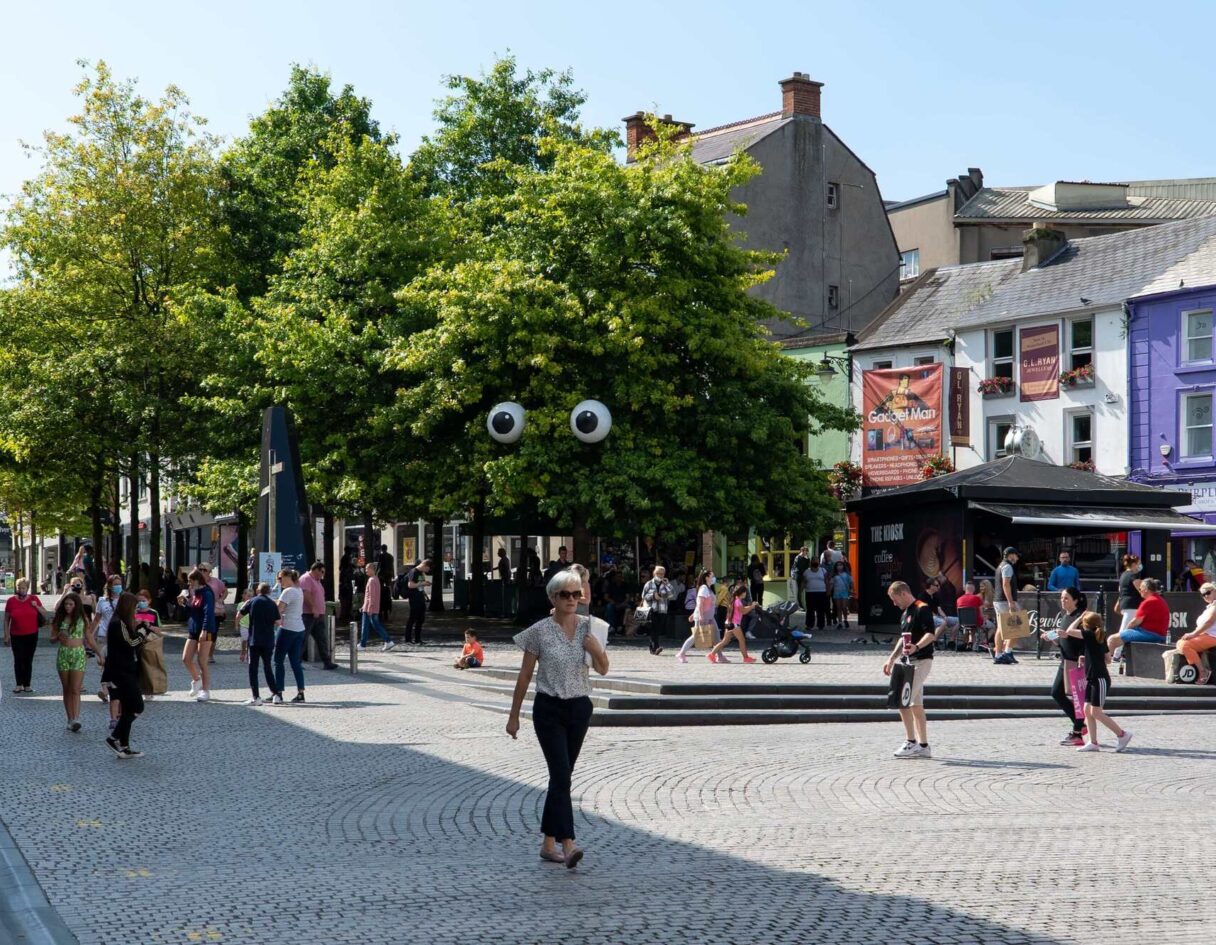 Waste Management Services Waterford | Panda.ie